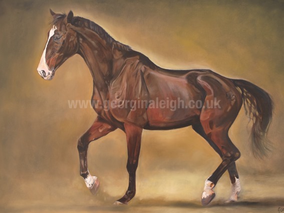 The Horse Artist - Horse Portraits